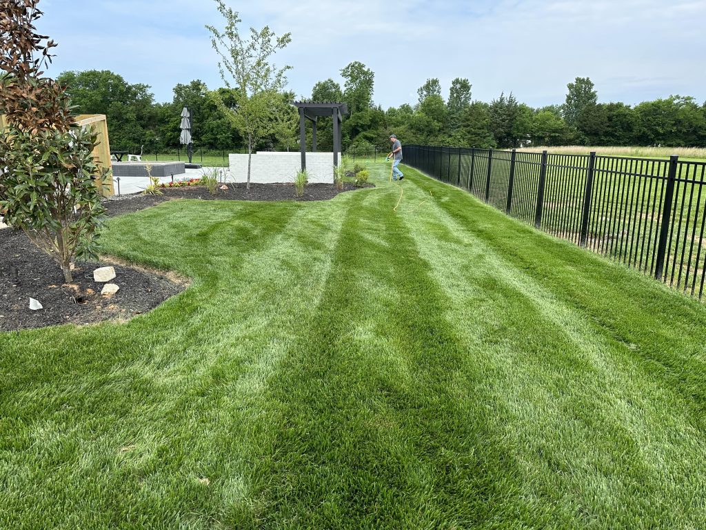 Top Effective Methods For Weed Control In Your Garden Or Landscape ...